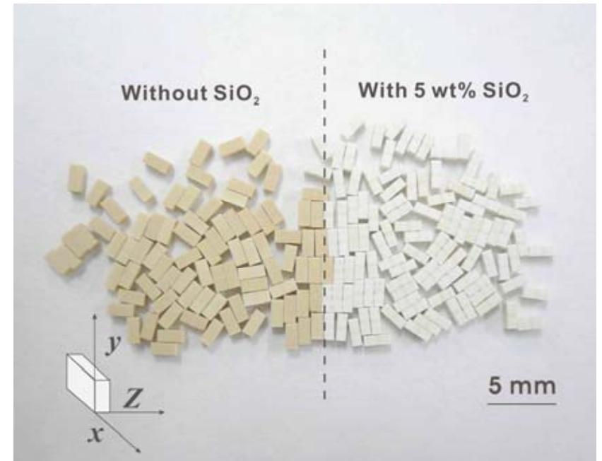 Morphologies of silver metalized lem ltcc chips with (right