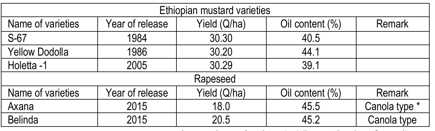 Varieties of ethiopian mustard under production and
