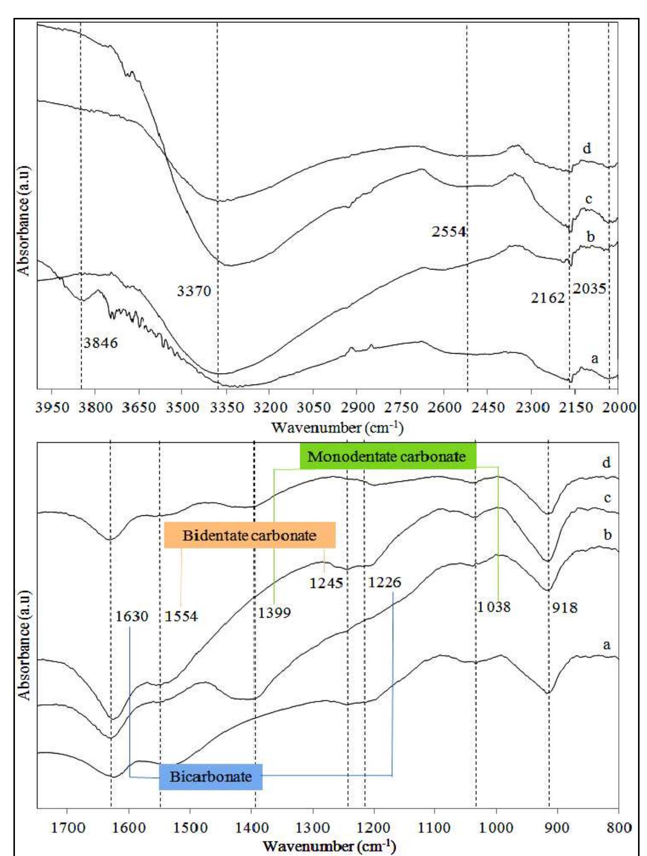 Ir spectra of (a) s450 before co, adsorption, (b) a-fe,o0;