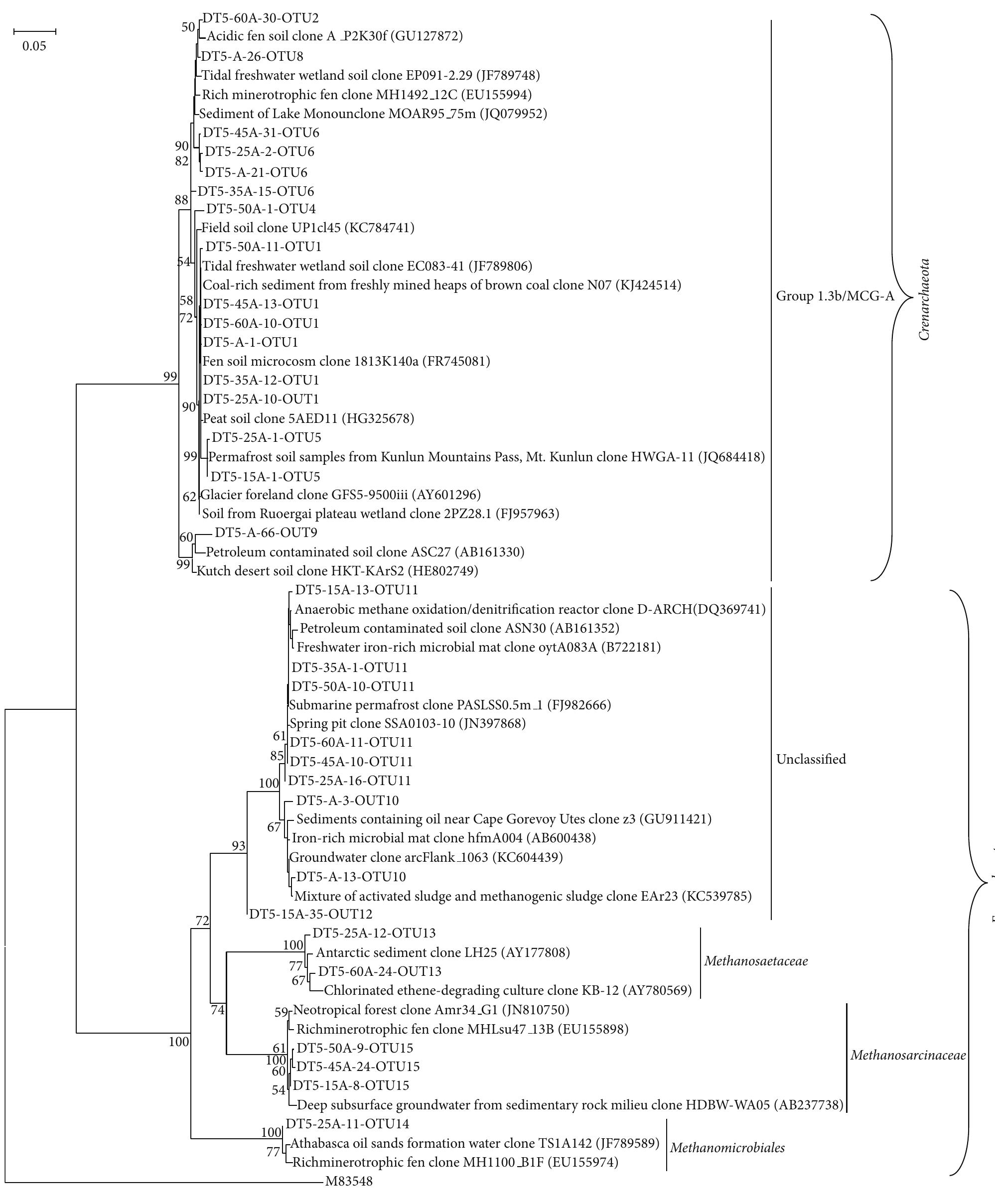 Phylogenetic tree of archaeal 16s rrna gene sequences from