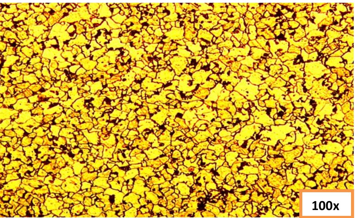 The Microstructure Of Transverse Cross Sectional Surfaces Of