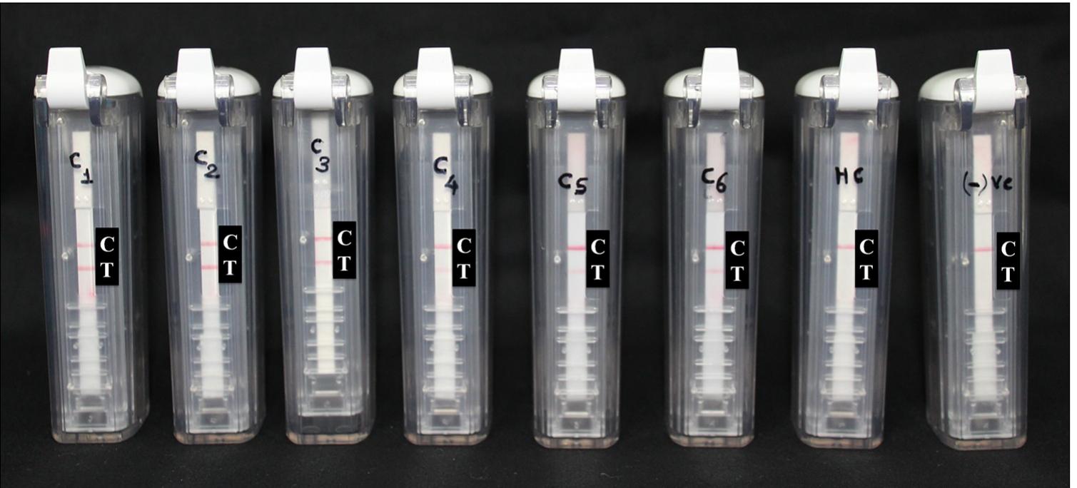 Validation of hlb-rpa-lfa assay by using amplifyrp acceler8