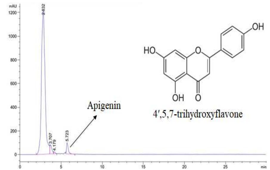 Hplc-chromatogram of the drug sample showing apigenin peak