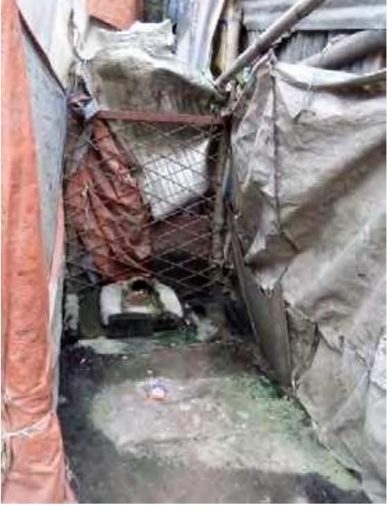 Figure 40 - Assessment of fecal sludge management practices