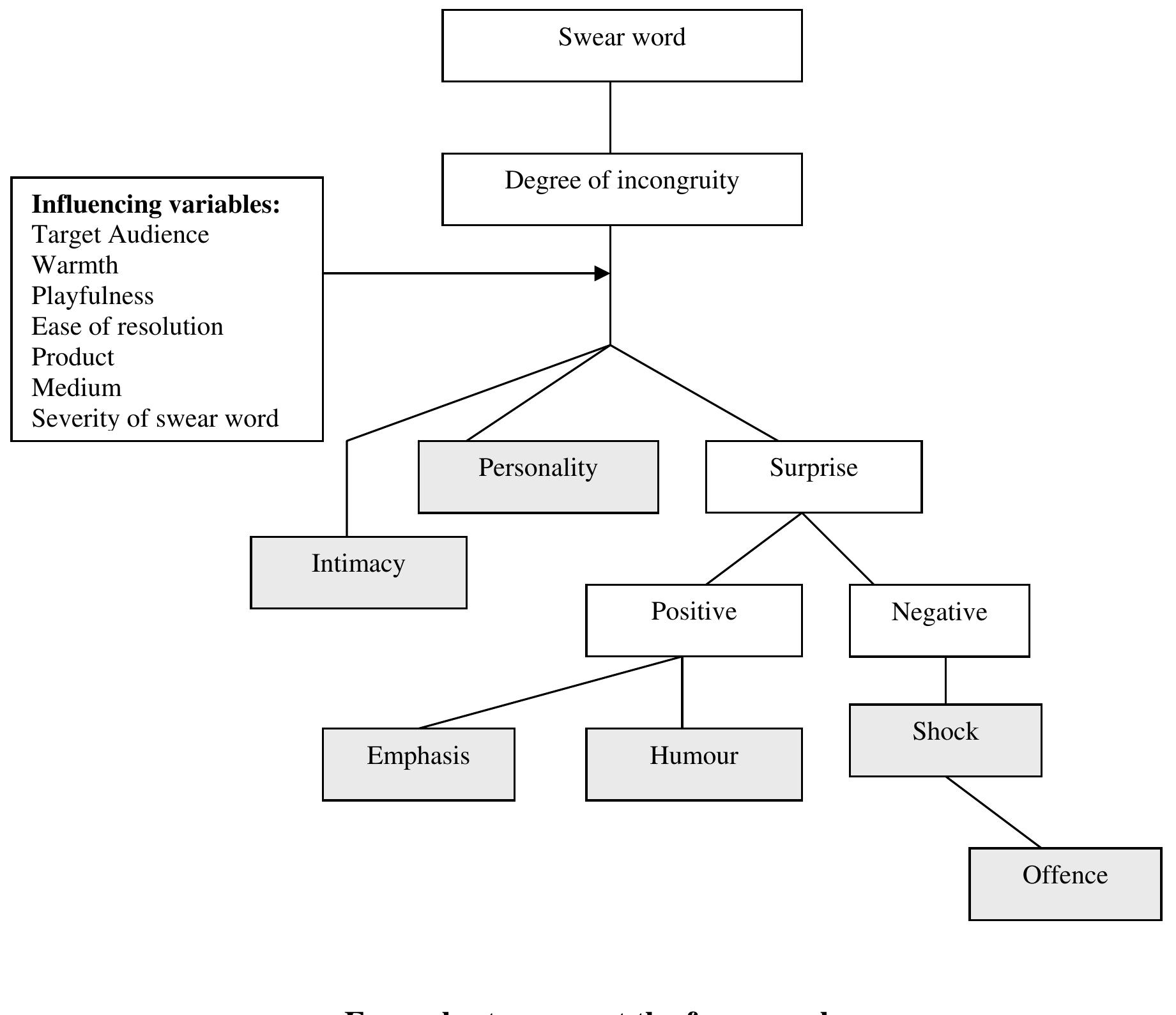Conceptual framework of effects of swear words in