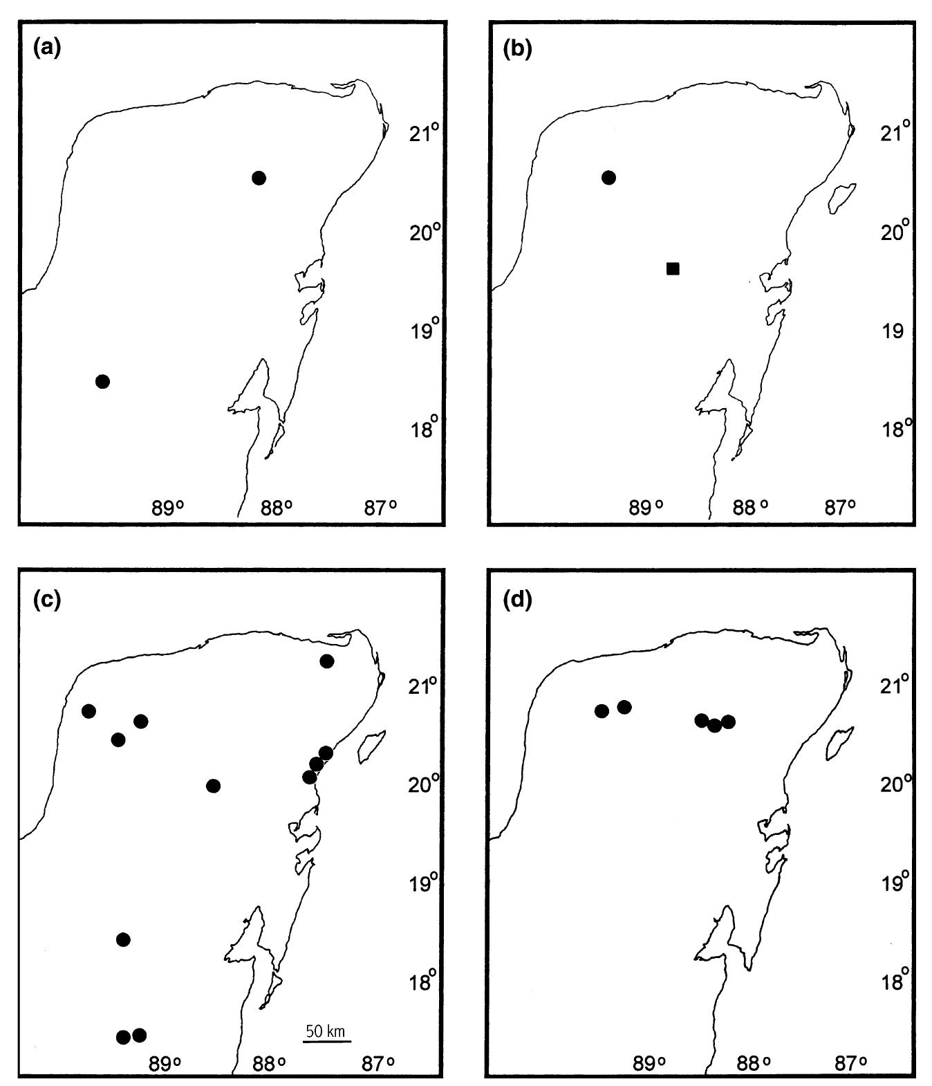 Crevicular-living ancestor that evolved in the former to a