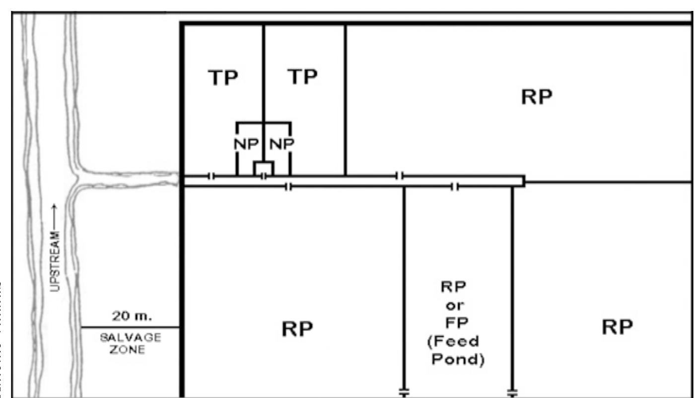 |2. typical layout of traditional milkfish farm. 25