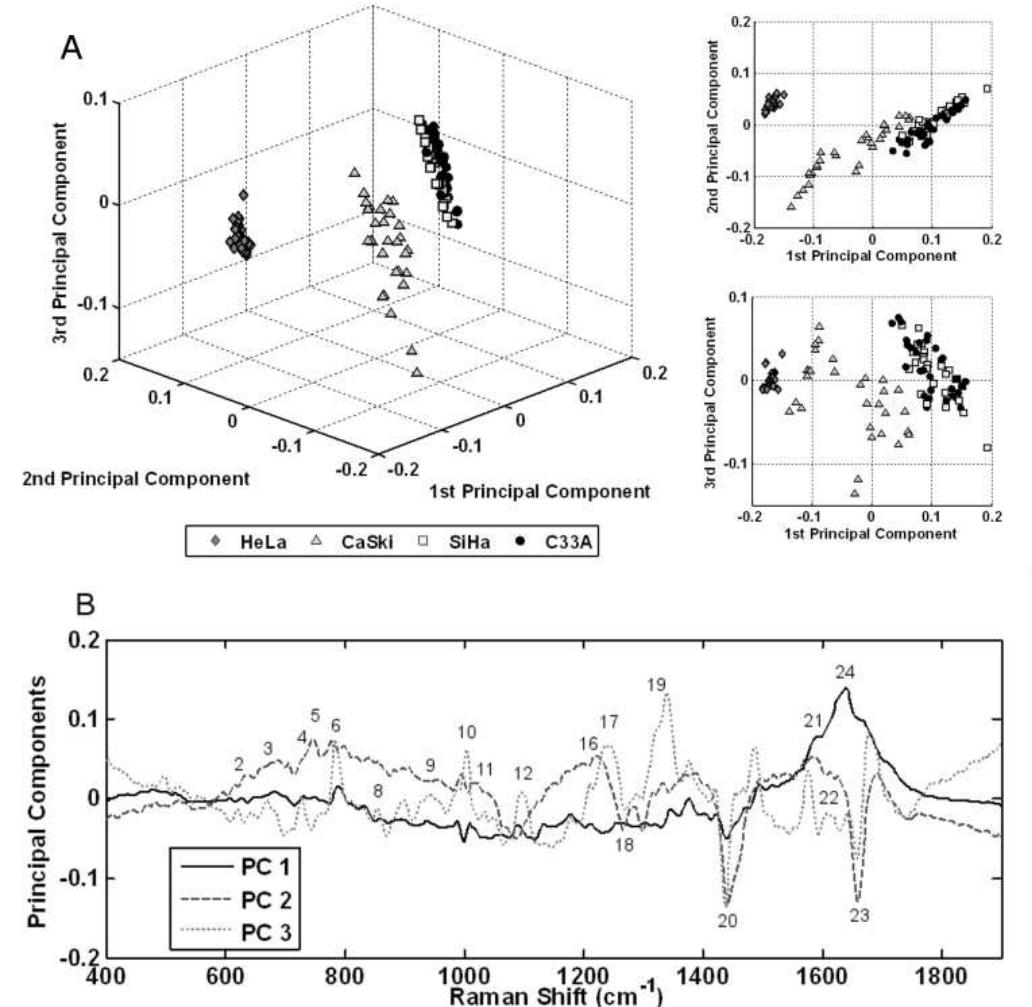 Principal component analysis for raman spectroscopy results