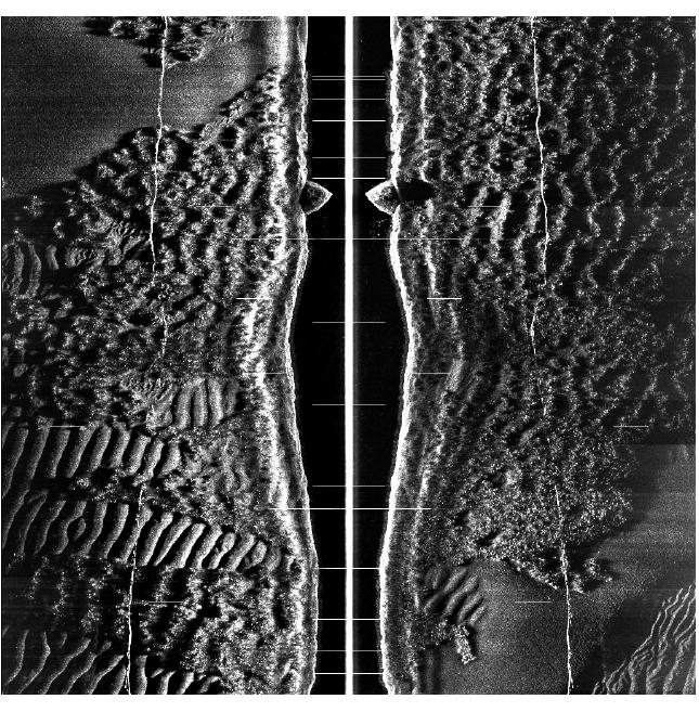 Side scan sonar image two main types of perturbations can be