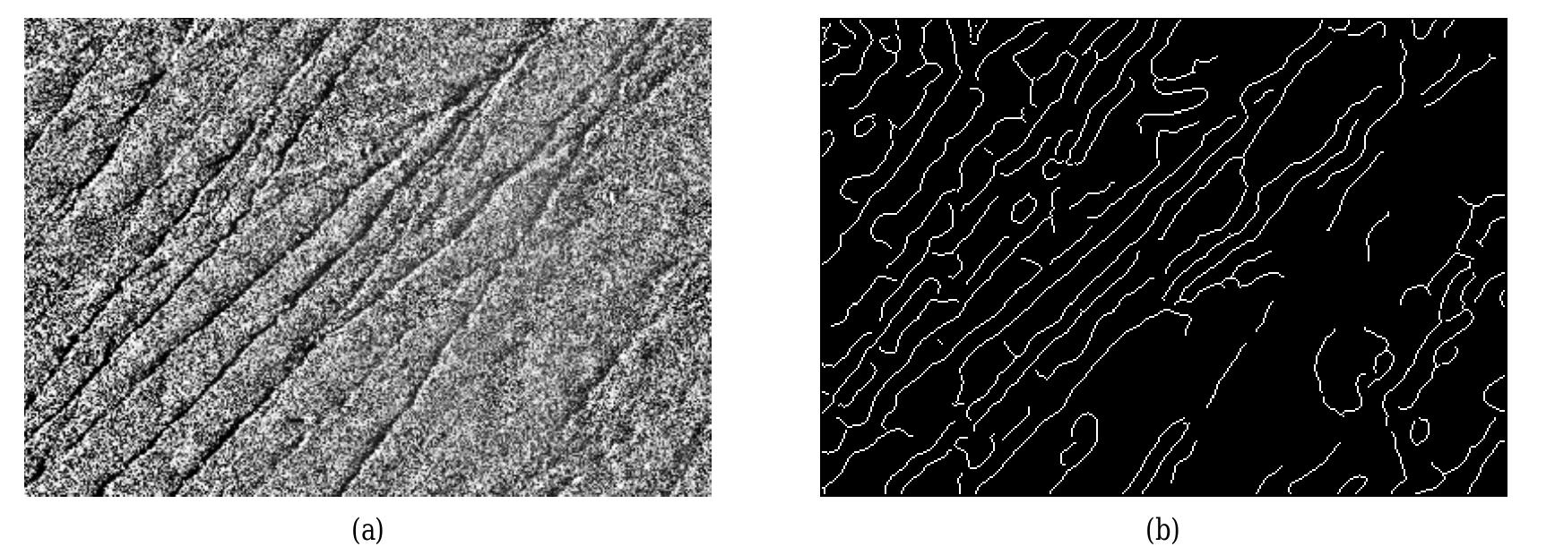 (a) image before canny filter, (b) trawling marks detection