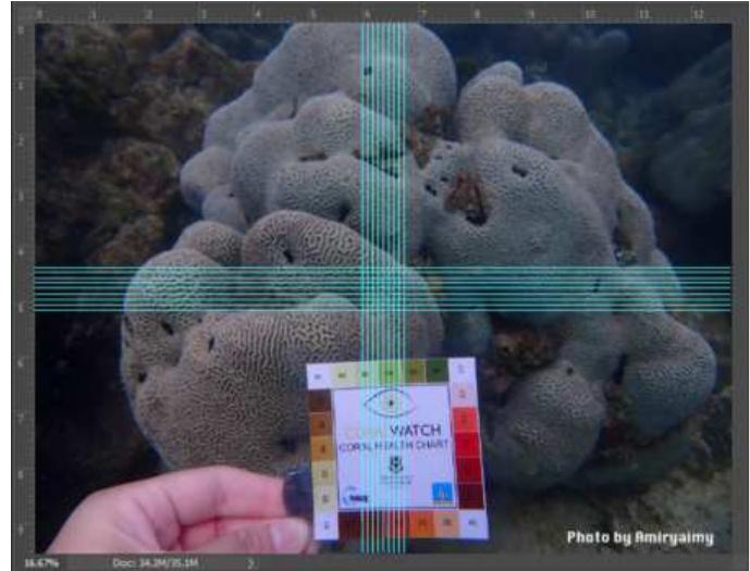 Damaged coral in coral health level at e2 the result of