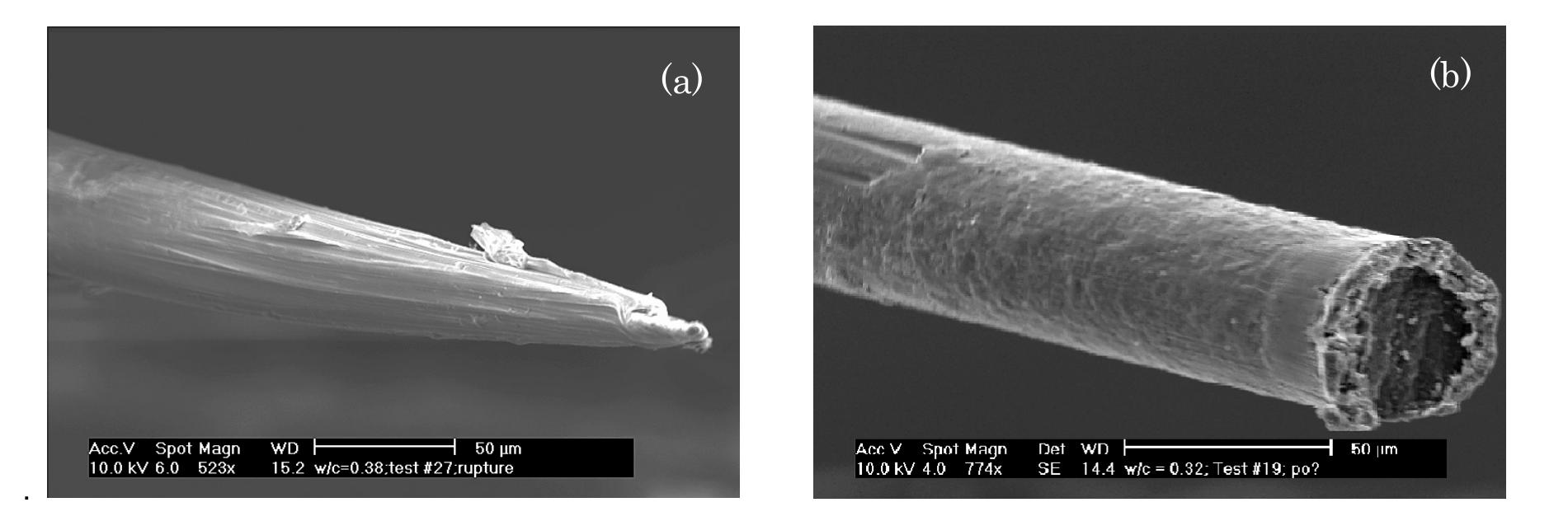‘ig. 9 micrograph of fibers from composite fracture surface: