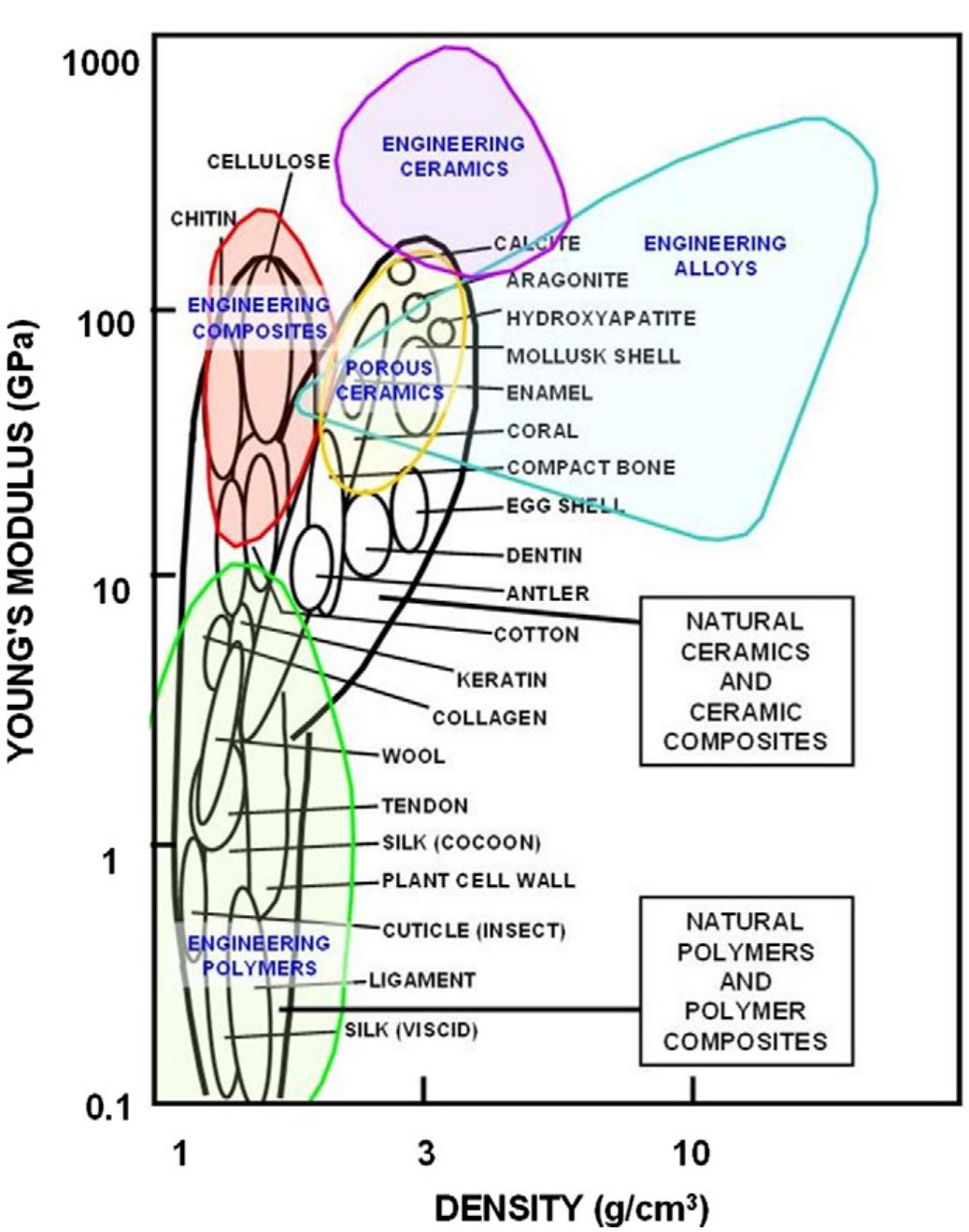 Young’s modulus as a function of density for various