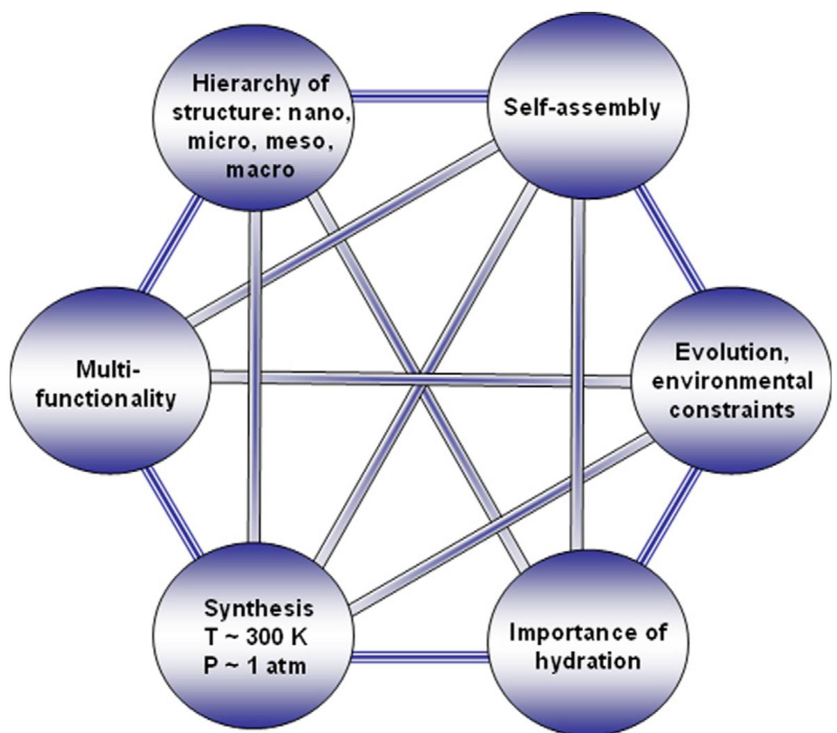 Schematic representation of characteristic