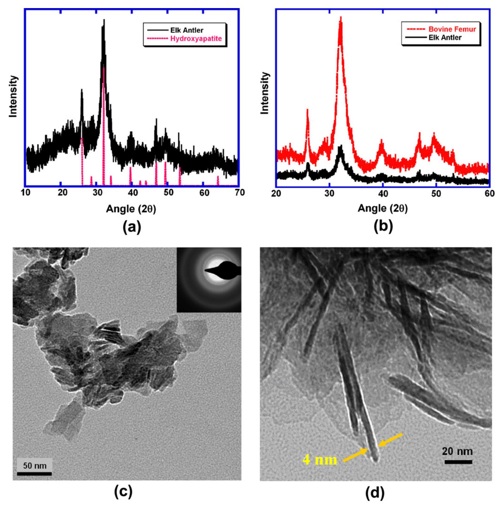 Xrd patterns of elk antler compared to (a) pure
