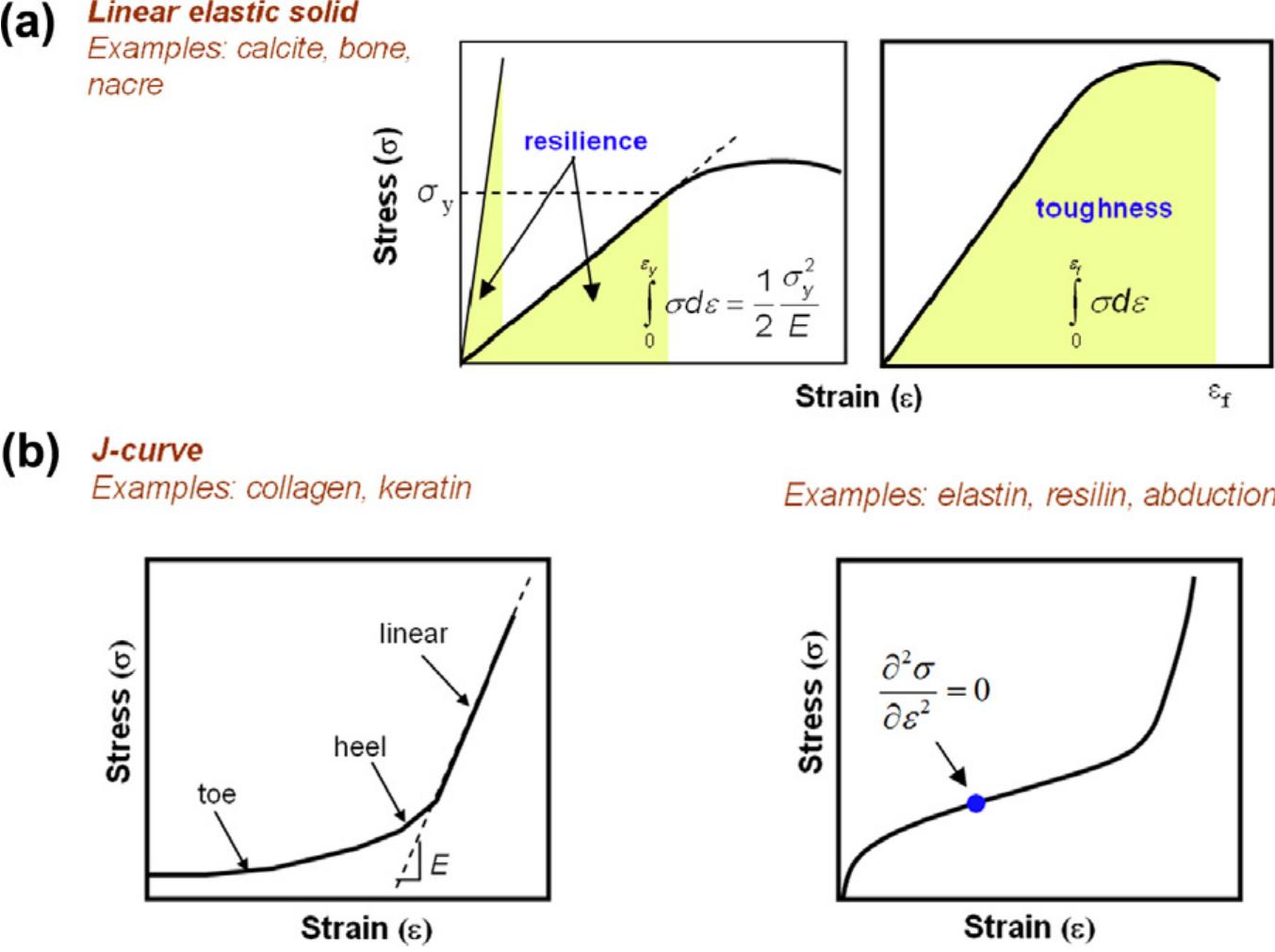 Ig. 30. stress-strain curves for various materials. (a)