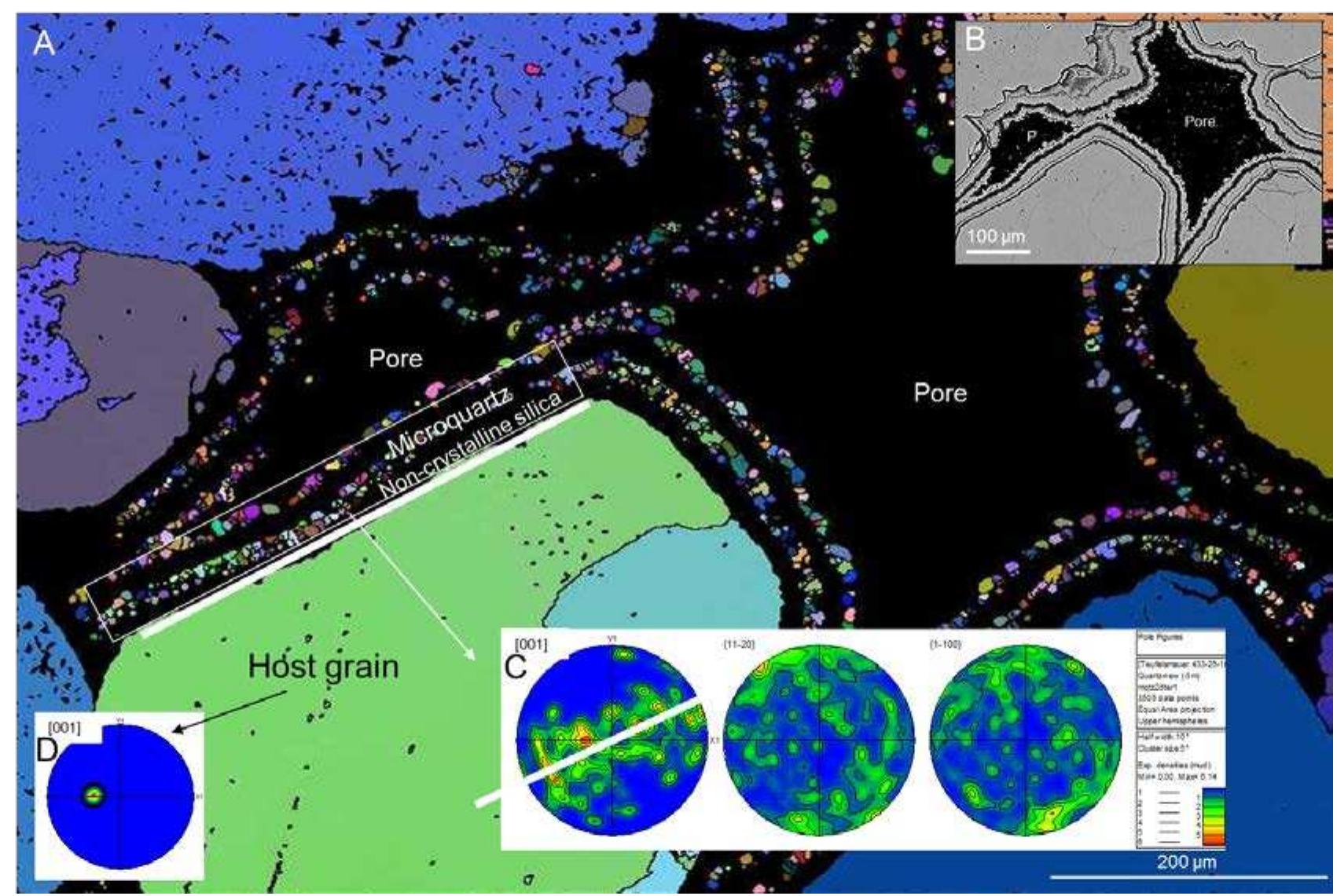 2 (a)electron backscatter diffraction (ebsd) orientation map