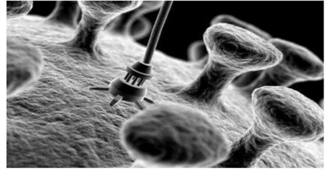 Figure 3 - from Nanotechnology: A Miniature Miracle