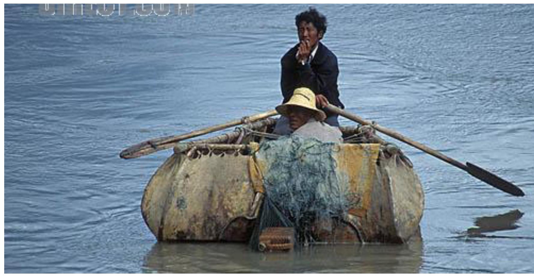 Skin boat: typical ku-dru - yak skin boat from lake yamdrock
