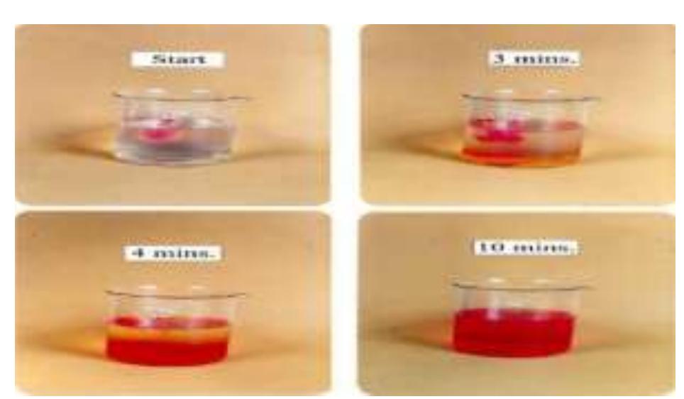 -17: dissolution mechanism of capsules teja dasari et al.,