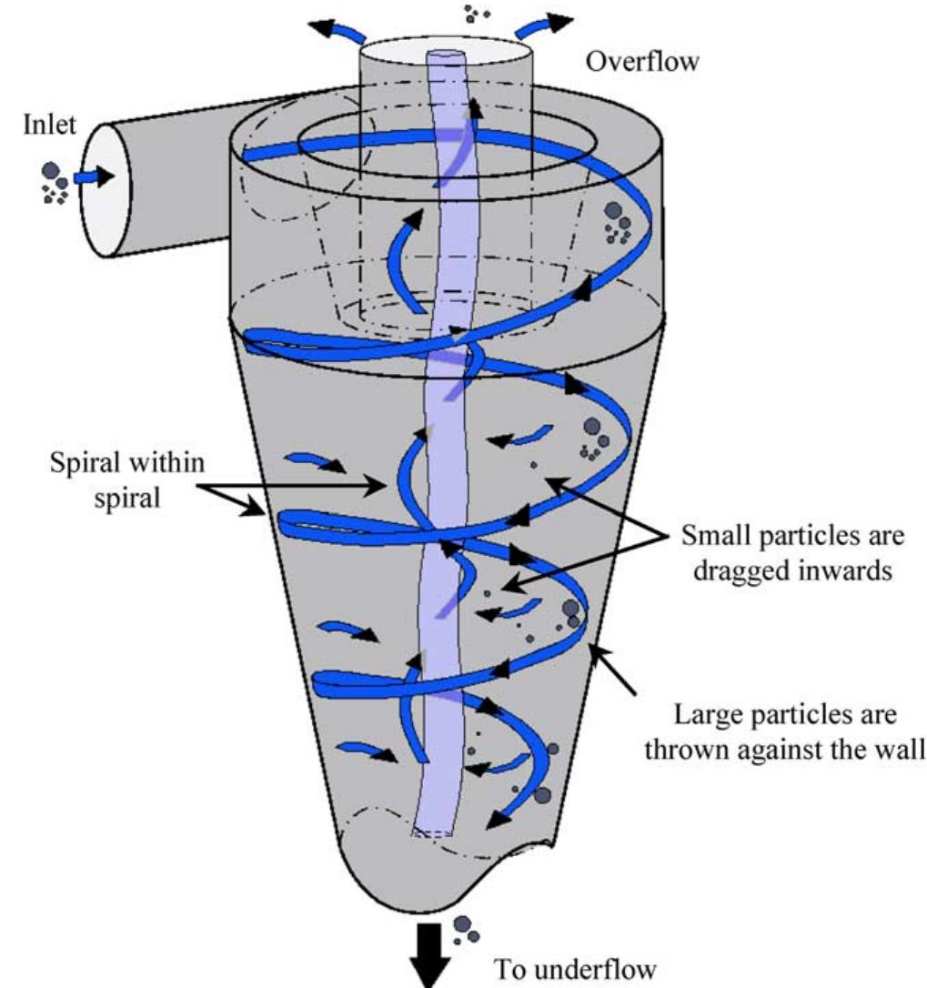 Schematic of the hydrocyclone flow structure.