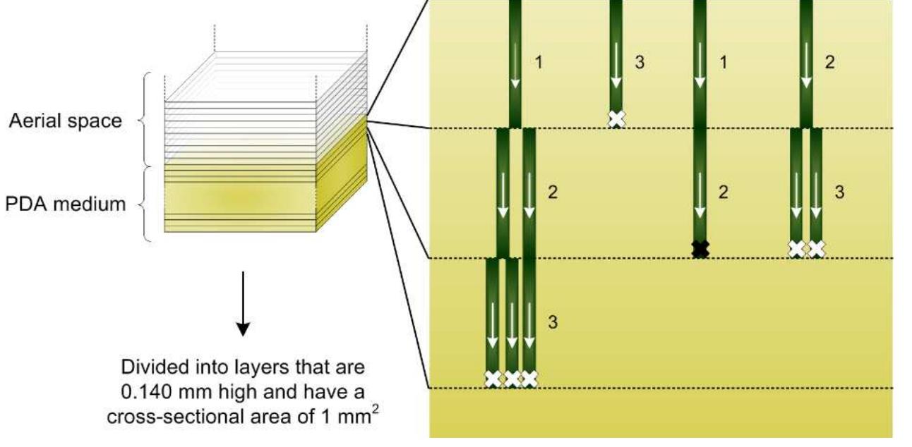 1 schematic drawing of the procedure used in the layer model
