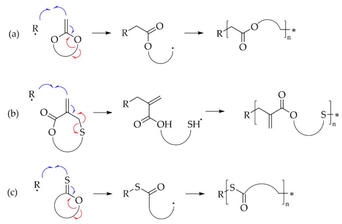 Radical ring-opening polymerization from (a) cyclic ketene