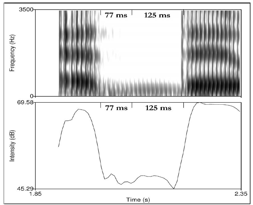 Spectrogram and intensity diagram demonstrating intensity