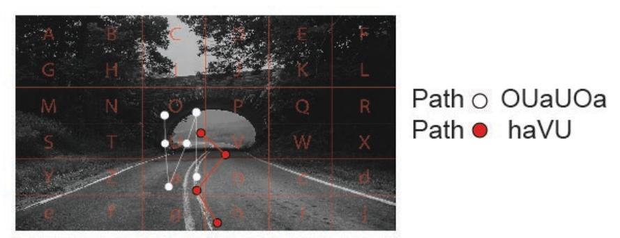 Example of scan-path analysis showing two scan-paths over