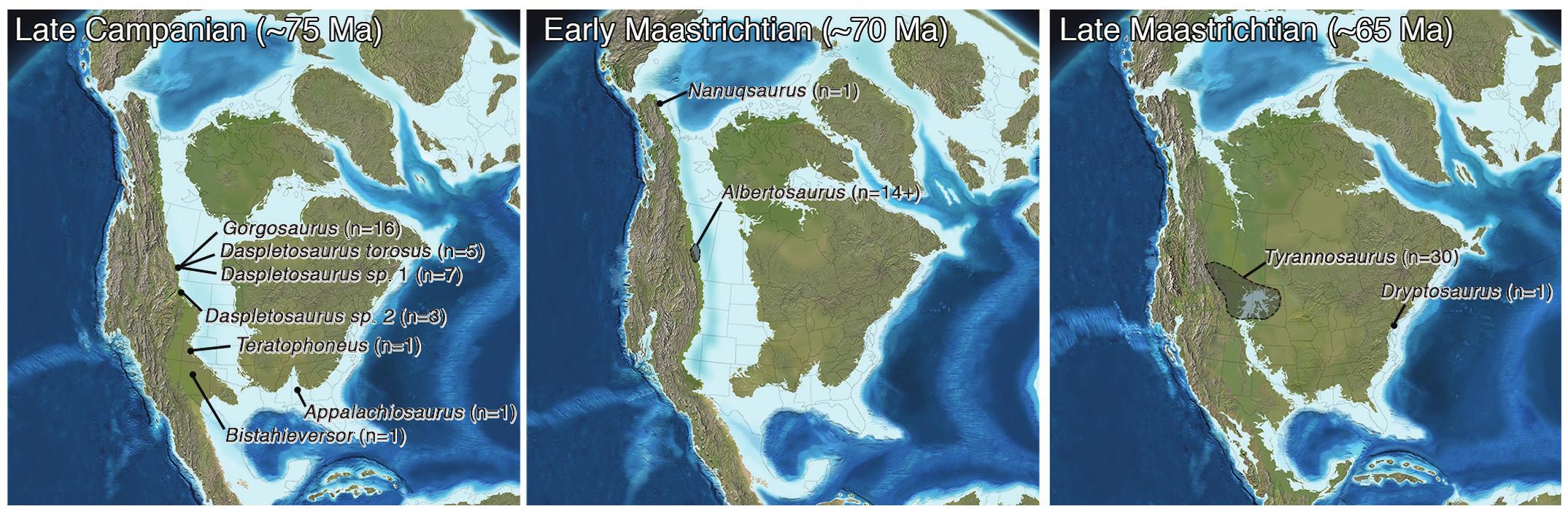 Palaeobiogeography of north american tyrannosauroids during
