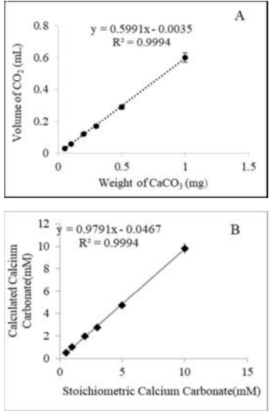 Calibration curve of gasometric system using calcium