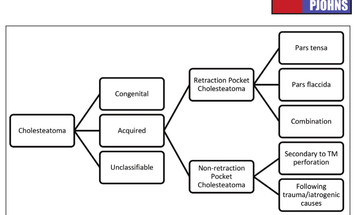 Figure 1 - from Classification and Stages of Middle Ear