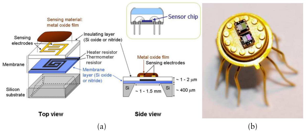 5: a structure of a taguchi-type , sno, gas sensor, and