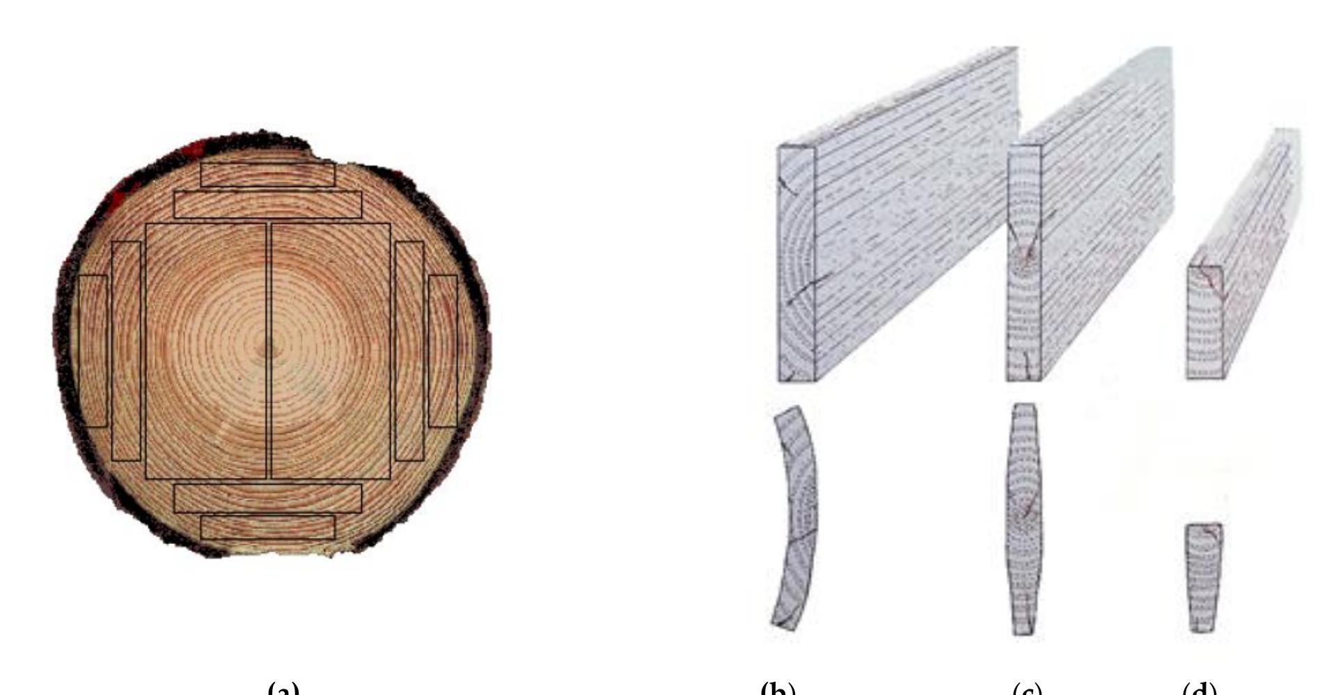Types of growth-ring orientations (a) within the obtained