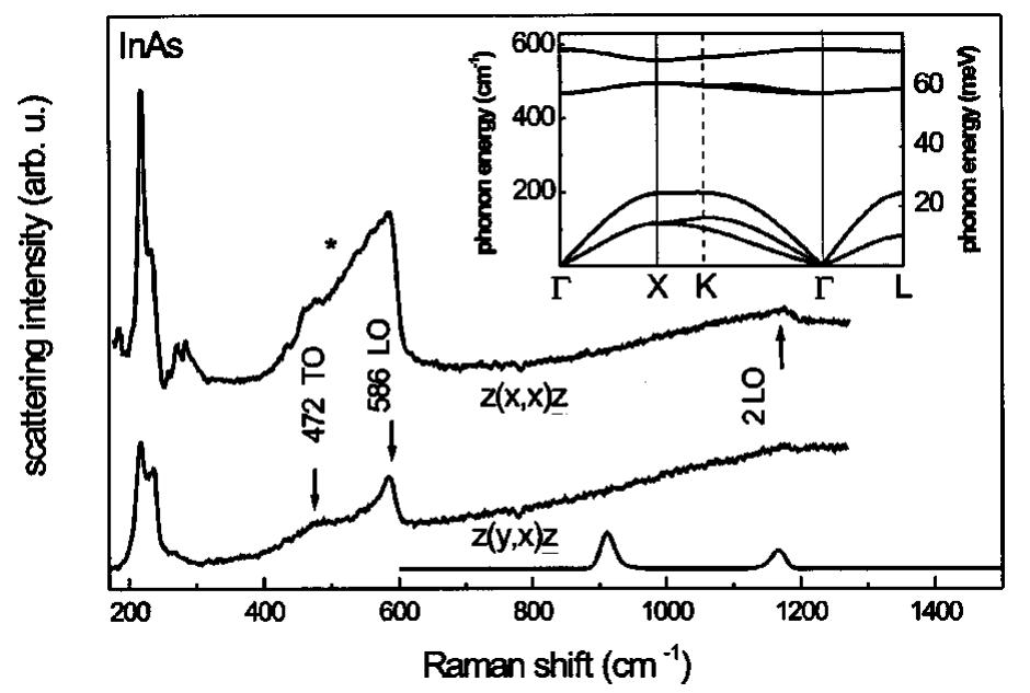 Figure 3 - from Lattice dynamics of hexagonal and cubic InN:
