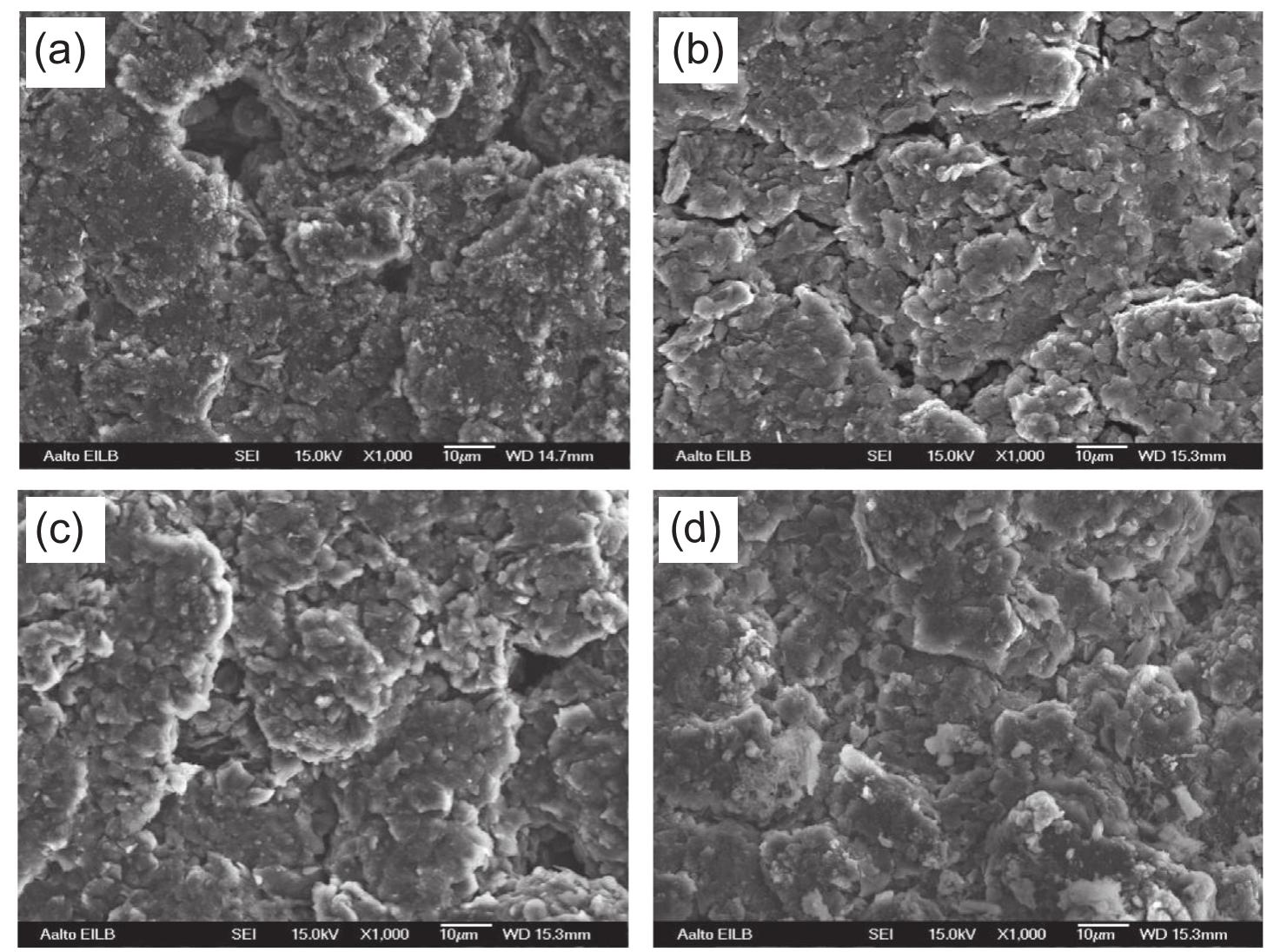 Sem images of graphite electrodes. (a) reference cell; (b)