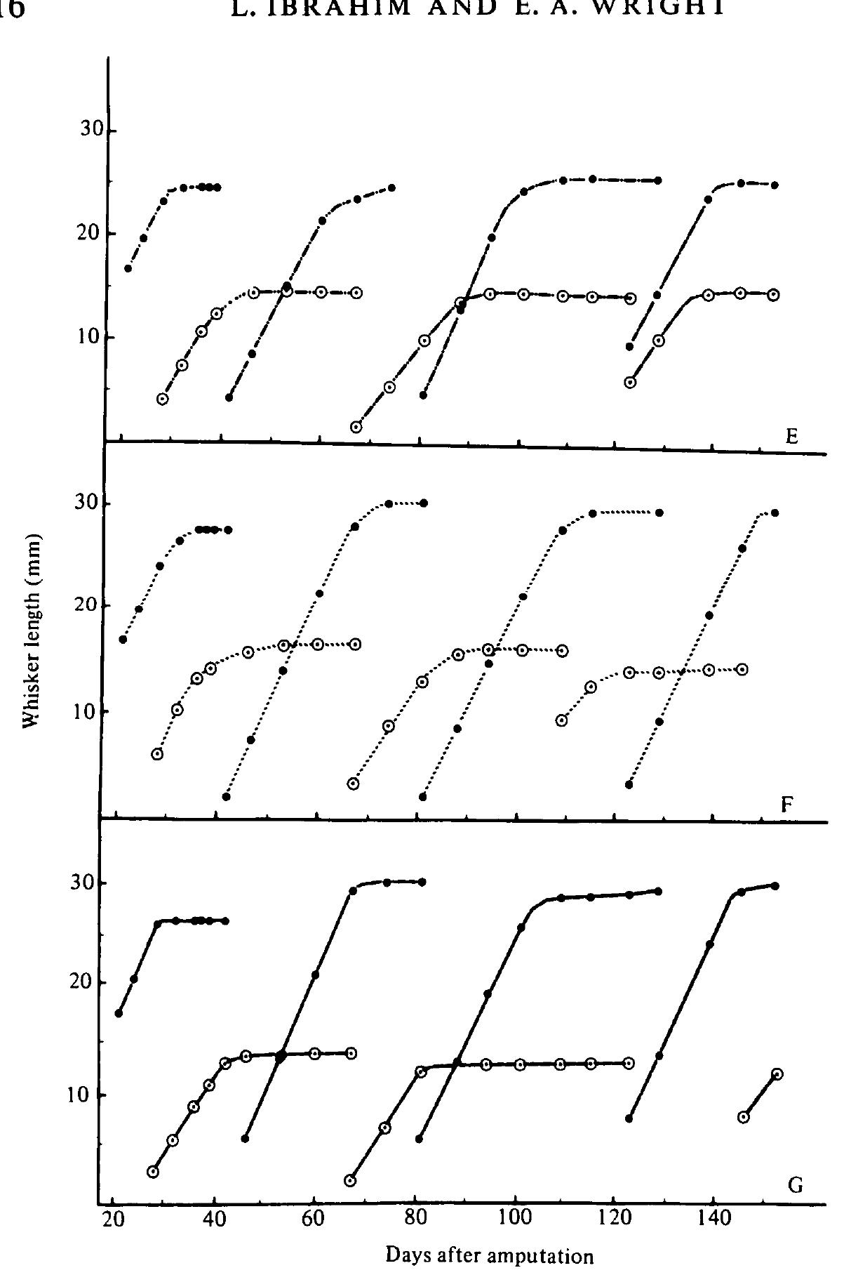 The growth curves of e (top), f (middle), g (bottom graph)
