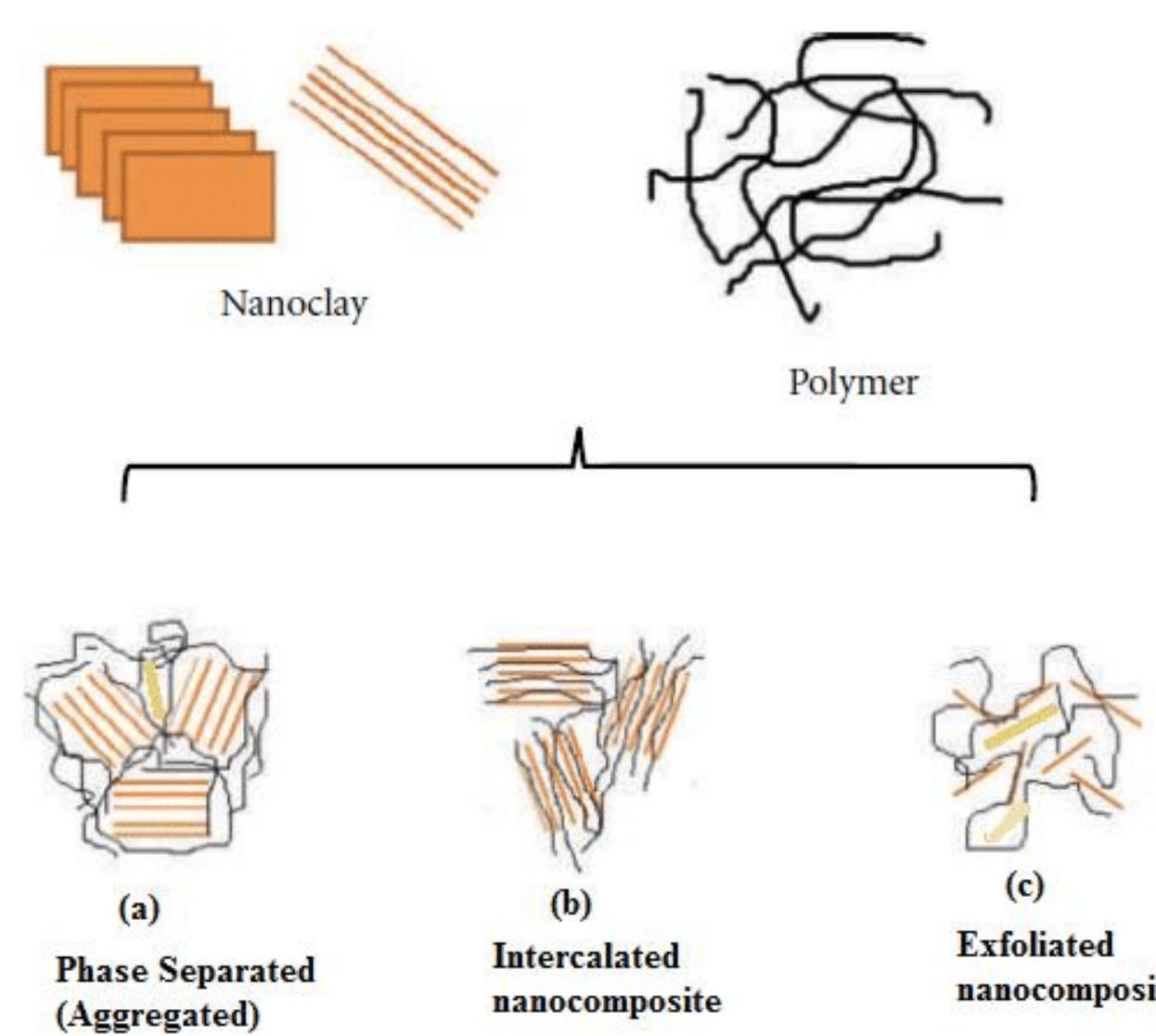 3: different types of dispersion of clay layers in polymer