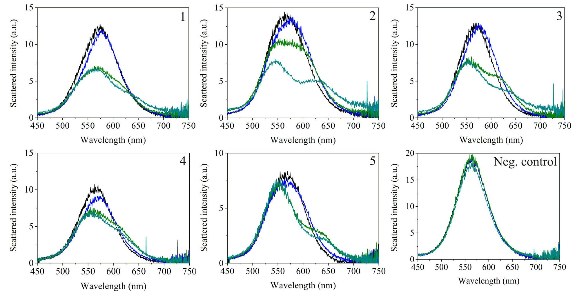 Measured scattering spectra of 80-40 aunp dimers formed at