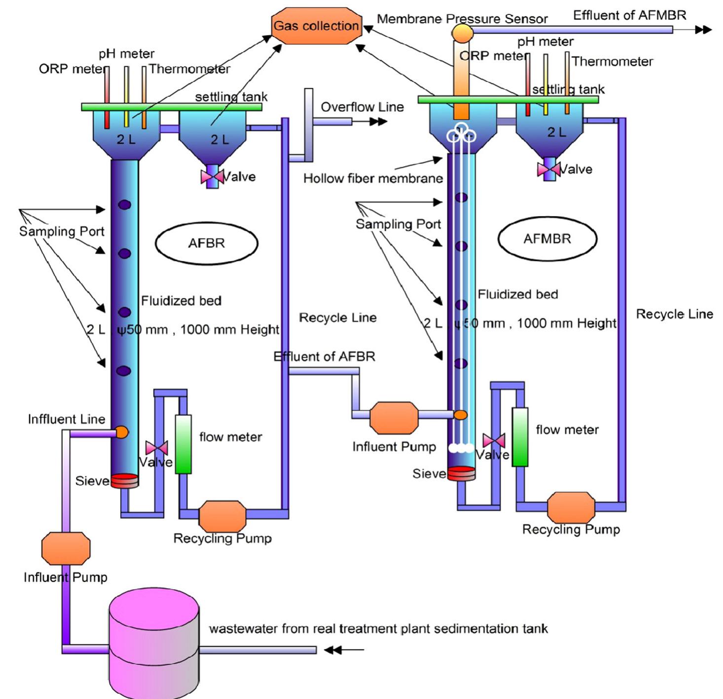 The schematic diagram of reactors afbr-afmbr (firstek scien-