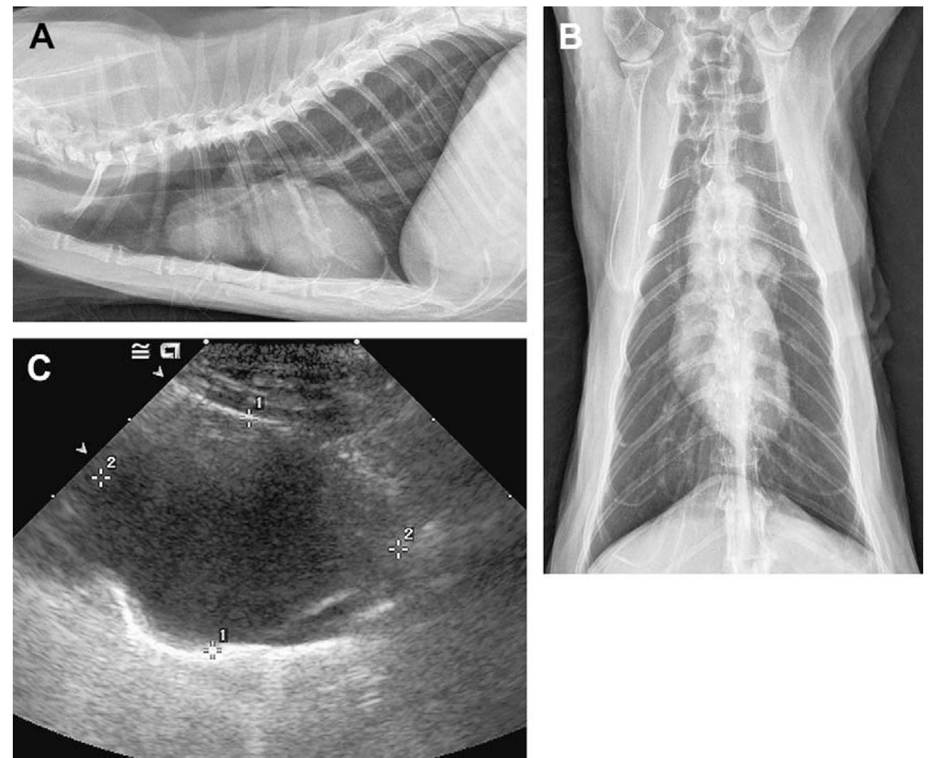 Lateral (a) and ventrodorsal (b) thoracic radiographs of a