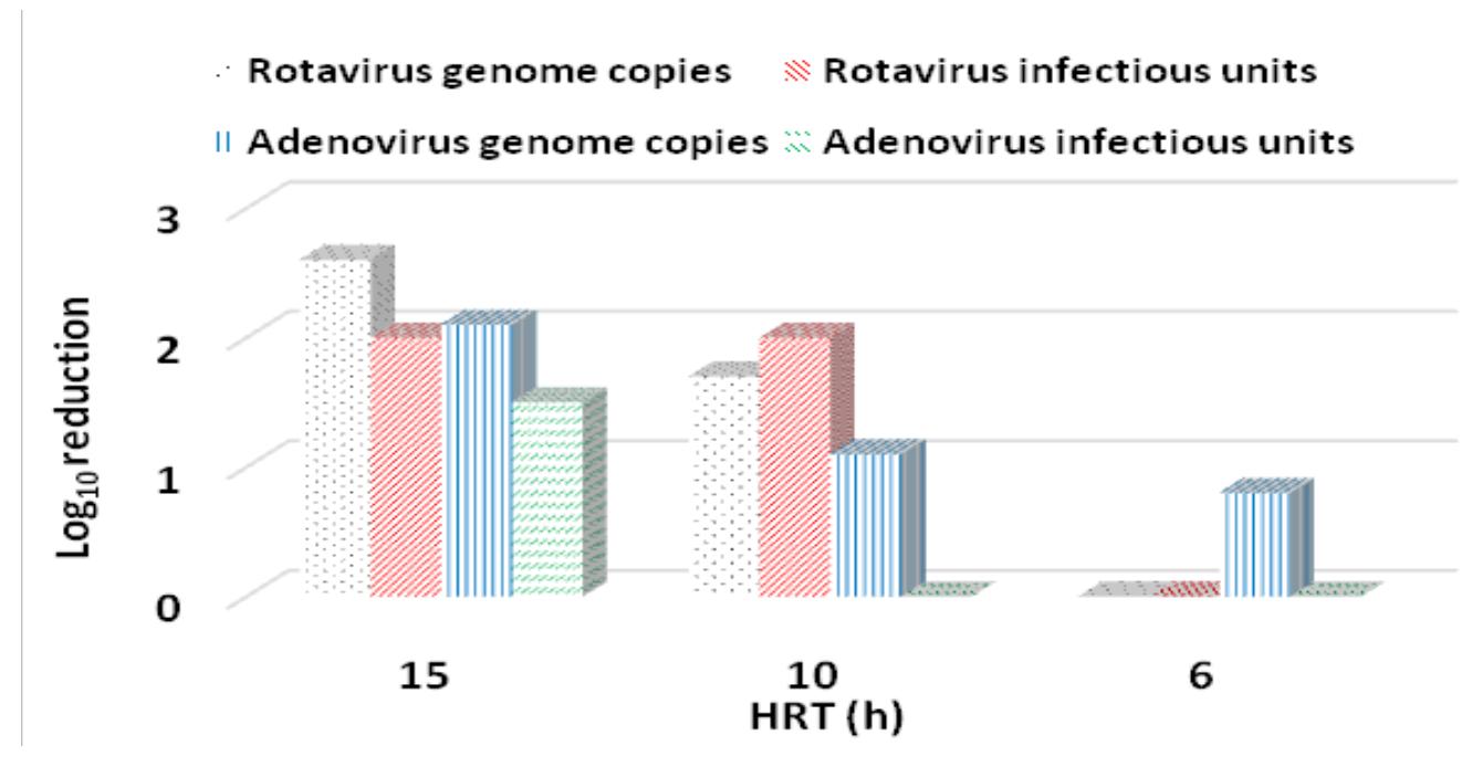 Log10 reduction of genome copies and infectious units of