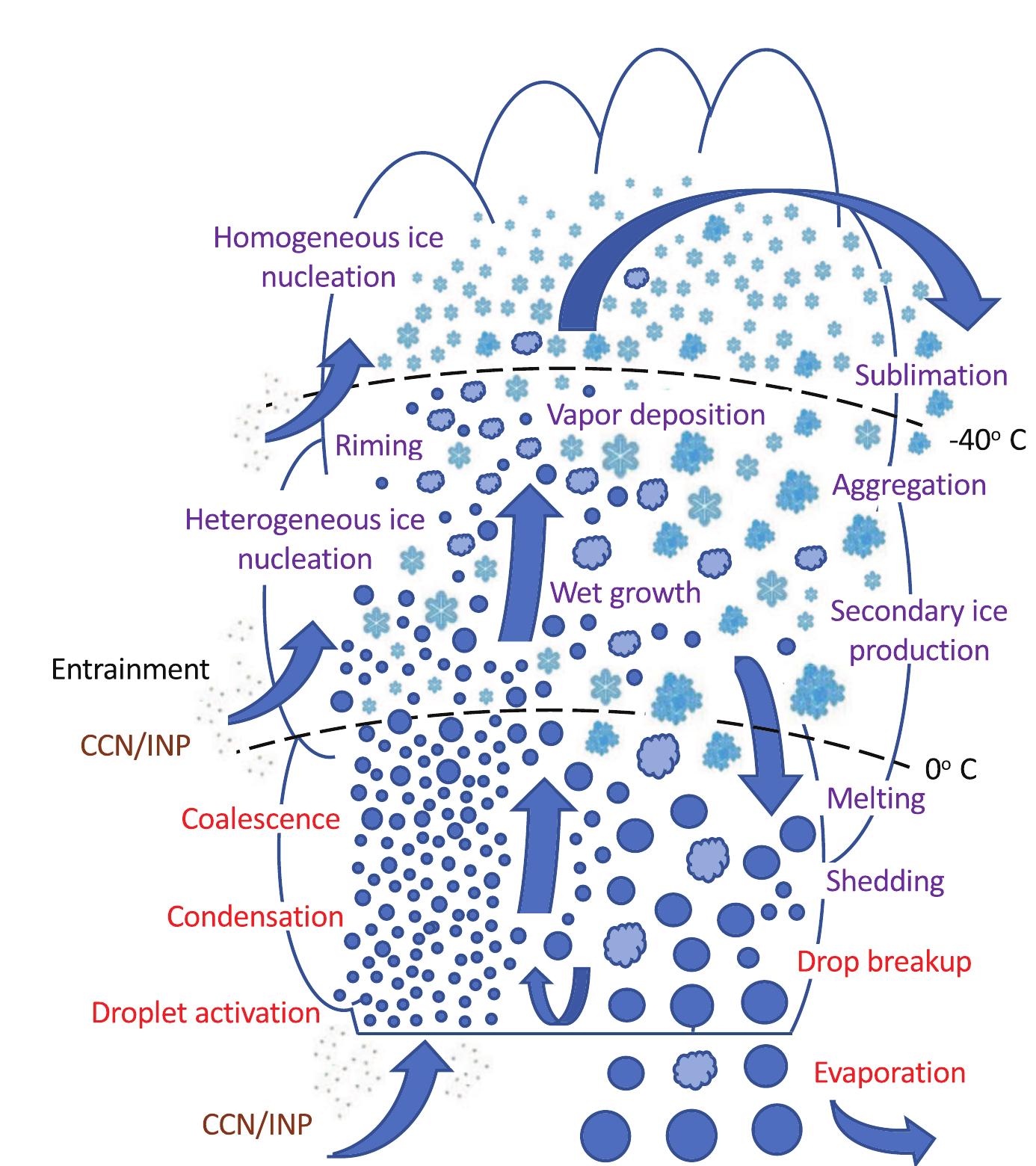 ‘igure 1. schematic illustration of microphysical processes