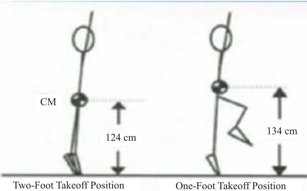 Figure 5 - from Vertical Jumping Performance : One-Foot vs