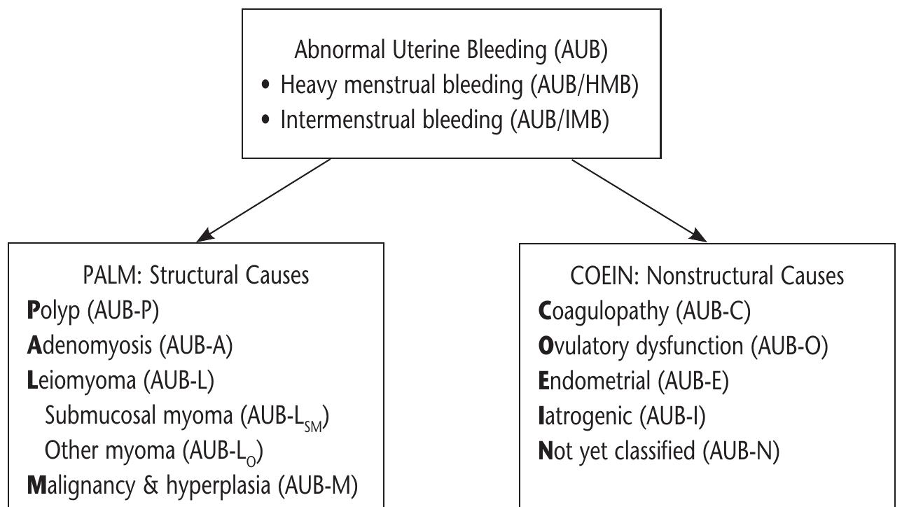 Basic palm-coein classification system for the causes of