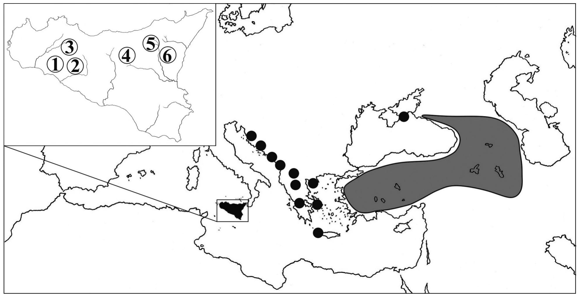 - distribution map of celtis tournefortii s.1. and, in the