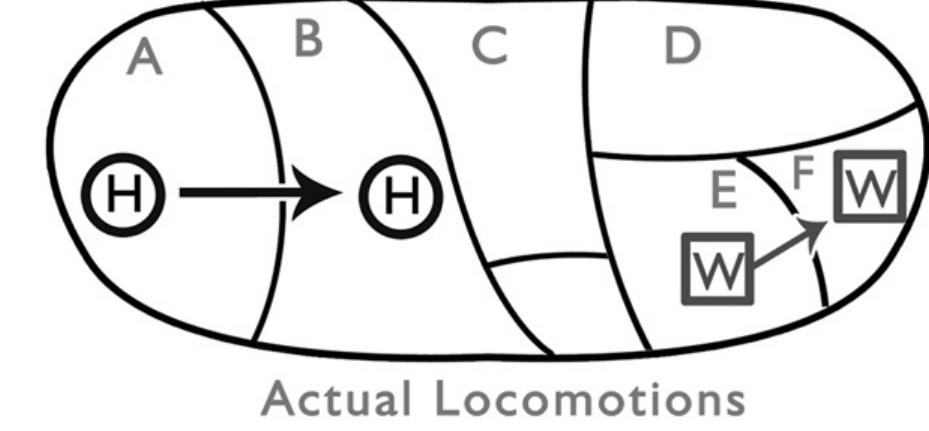 (PDF) Kurt Lewin's Field Theory: A Review and Re‐evaluation