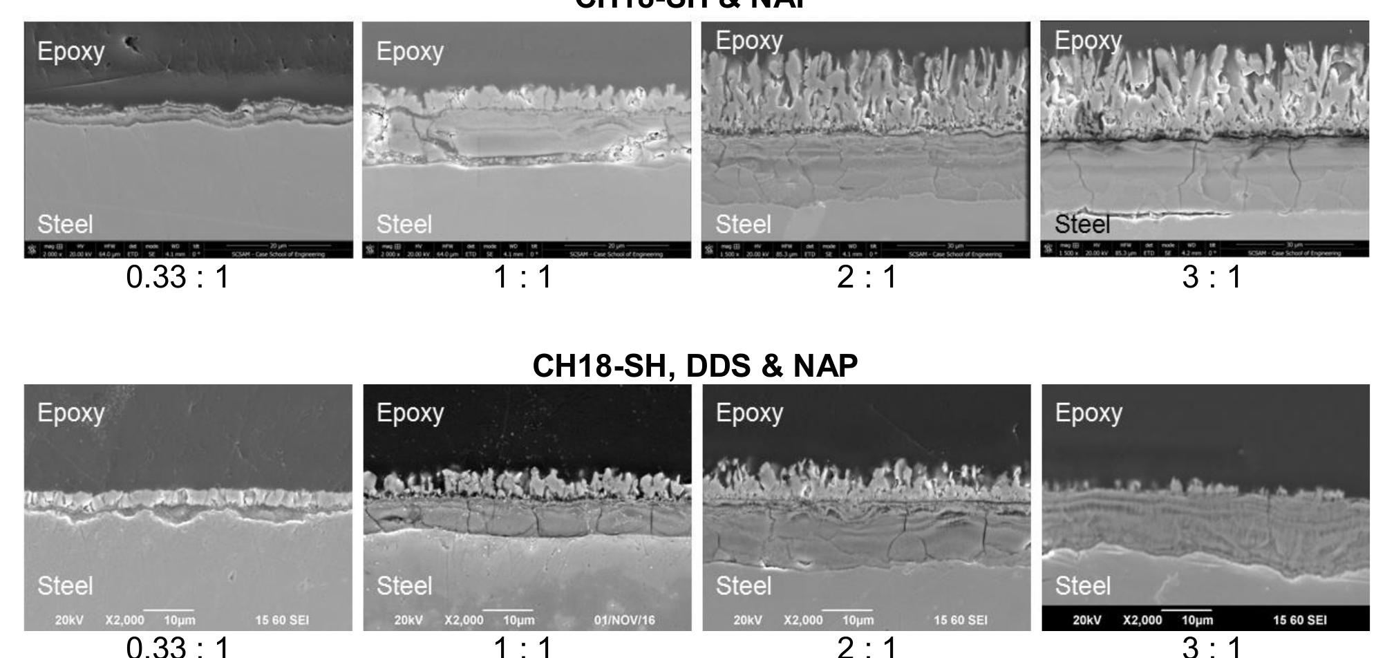 Sem cross-section images of “pretreatment” scales formed on