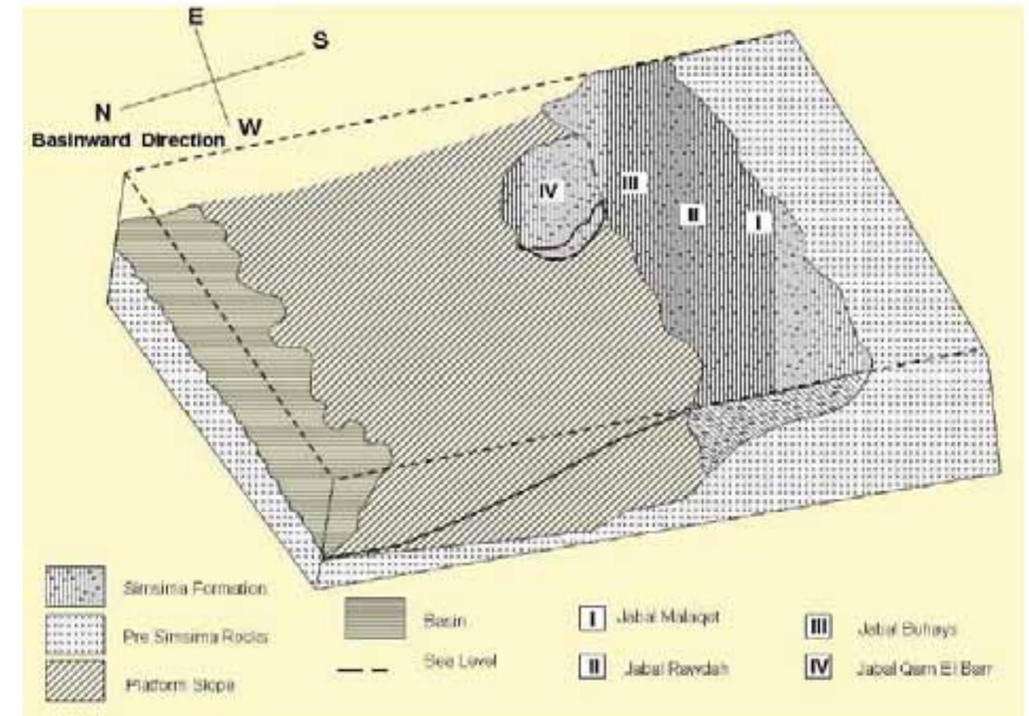 Depositional model of the simsima formation throughout the