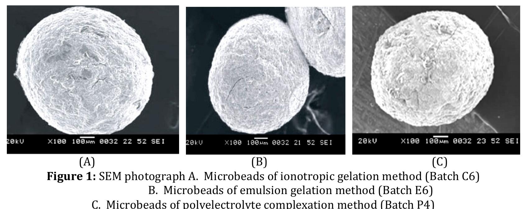 Figure 1 - Preparation of Microbeads by different Techniques
